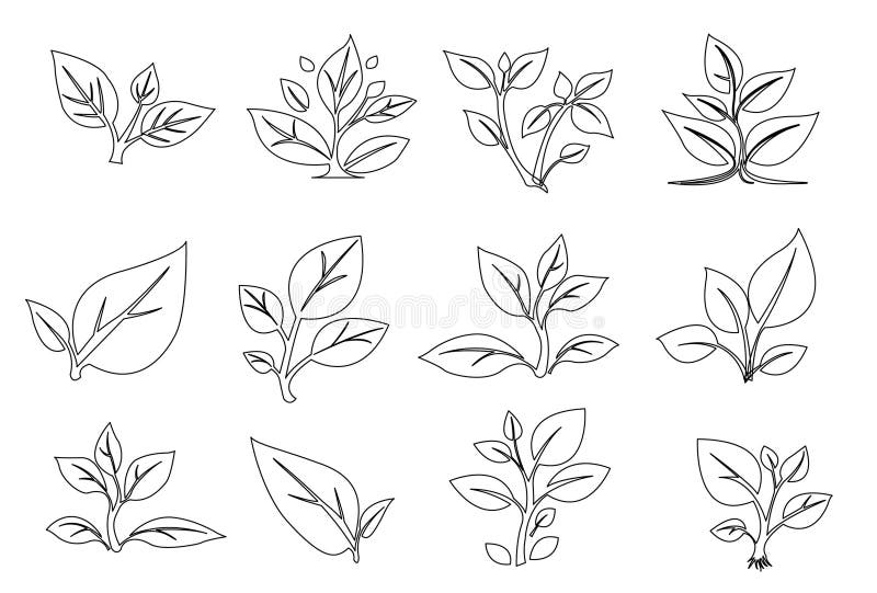 Elegant Vector Illustration of Various Leaf Designs Showcasing Plant ...