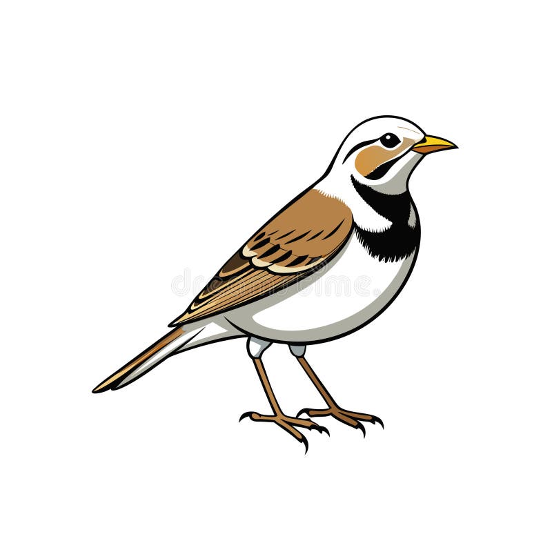Detailed Vector Illustration of a Horned Lark Bird in Profile Stock ...