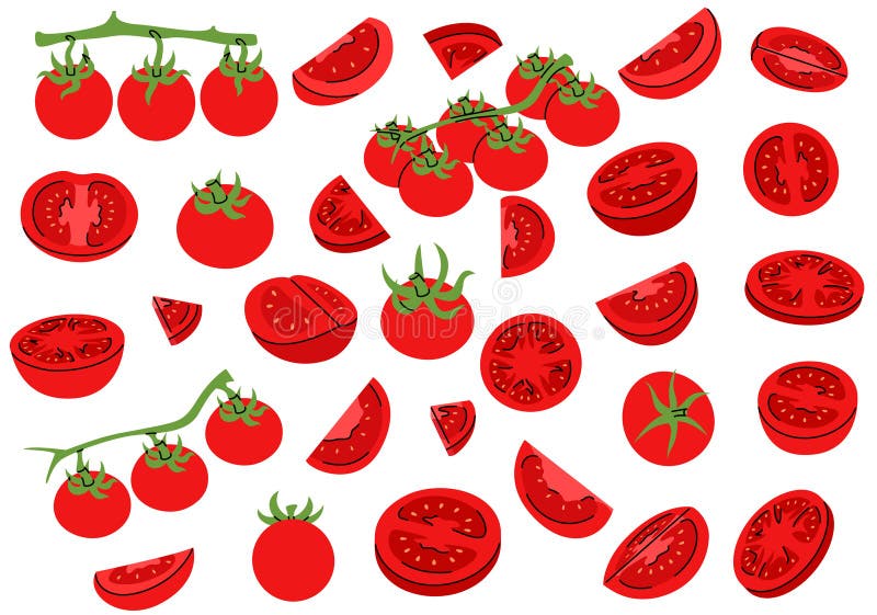 Detailed Vector Illustration of Red Tomato Showing Whole, Sliced, and ...