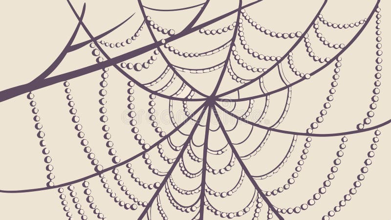 Detailed Spider Web Illustration, Nature, Pattern, Intricacy, Vector ...