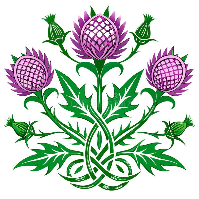 A Detailed Vector Pack of Irish Thistle Flowers Stock Illustration ...