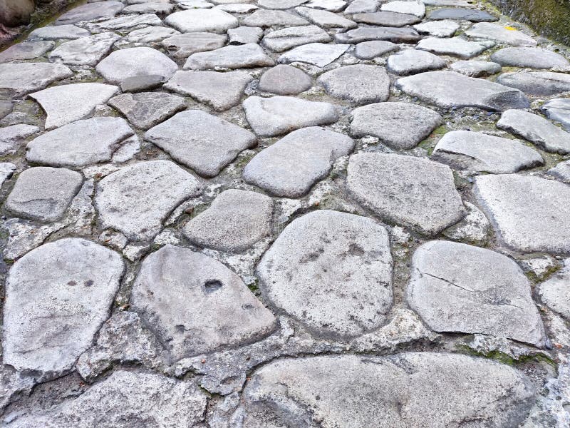 Detailed View of Ancient Cobblestone Pathway Lined with Irregular ...