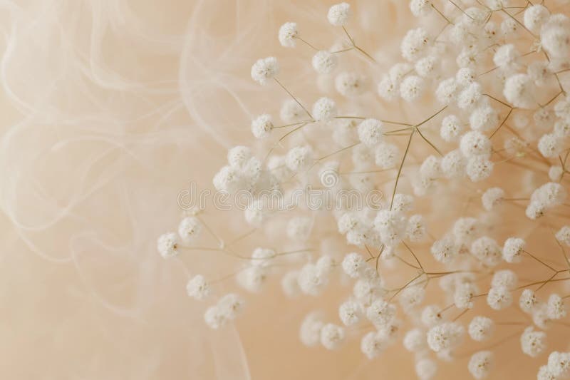 A Detailed View of a Cluster of White Flowers Stock Image - Image of ...