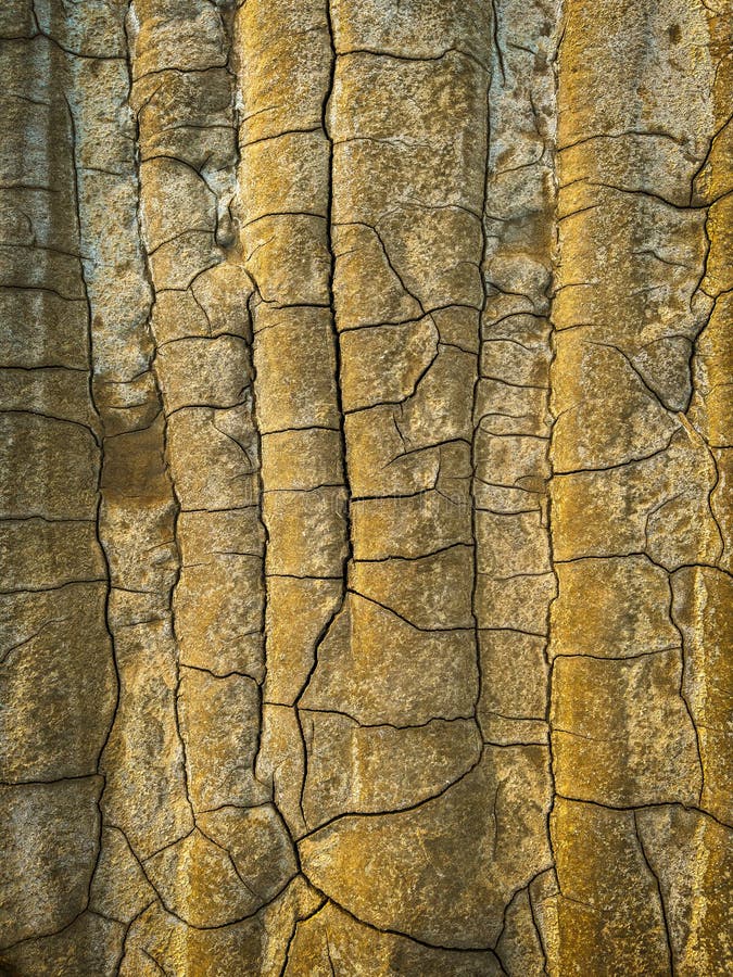 Close-up of Cracked Dry Earth with Rugged Textured Surface Stock Photo ...