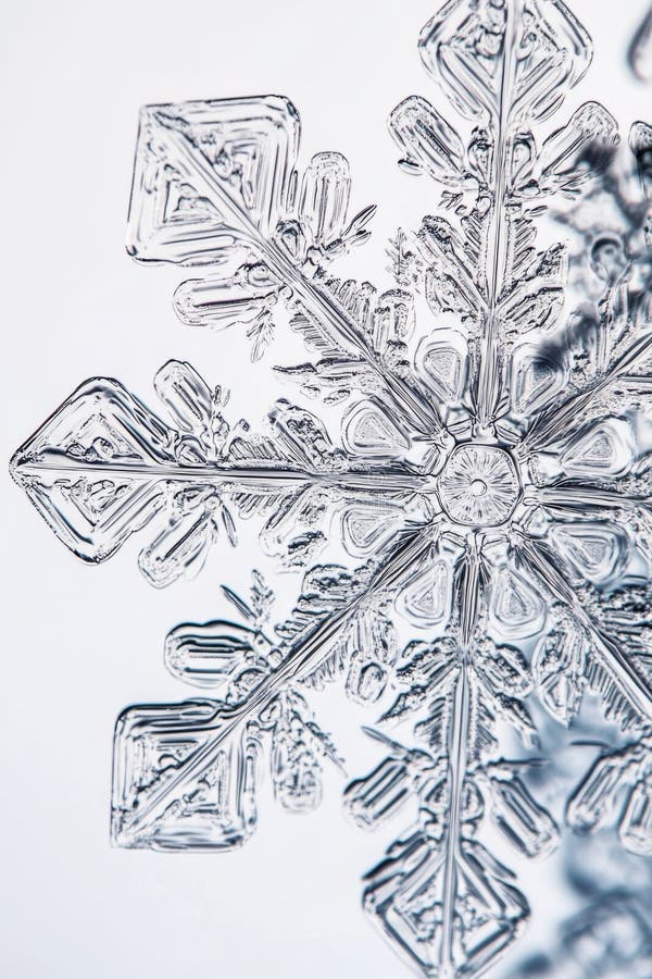 Intricate Snowflake Patterns Up Close Stock Illustration - Illustration ...