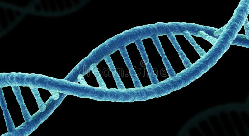 An Illustrative, Detailed Depiction of a DNA Double Helix Structure ...