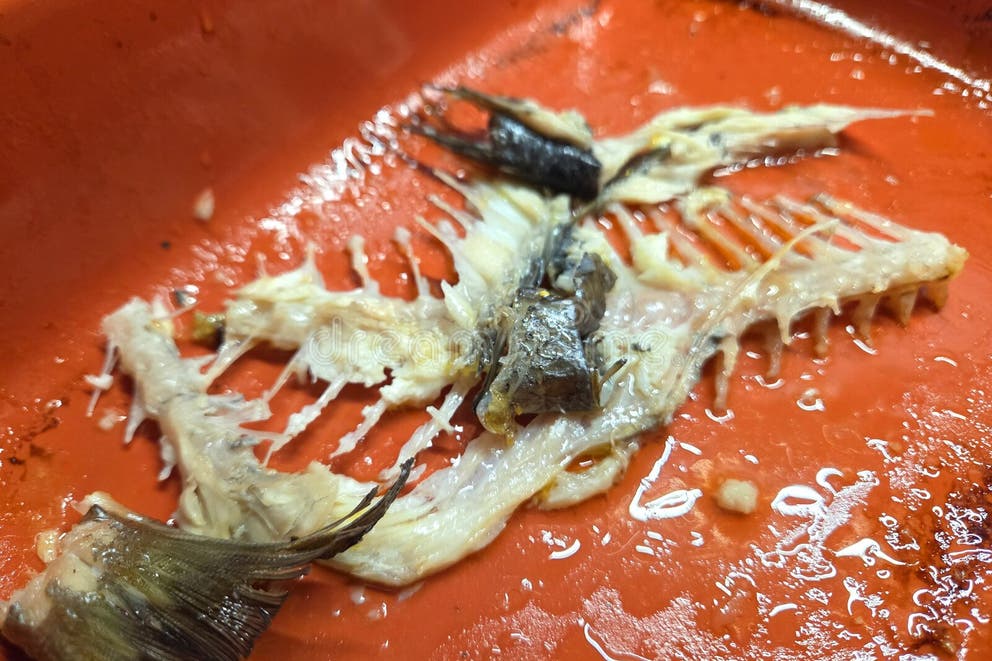 Fish Bones on a Red Plate - Culinary Remnants for Artistic and ...