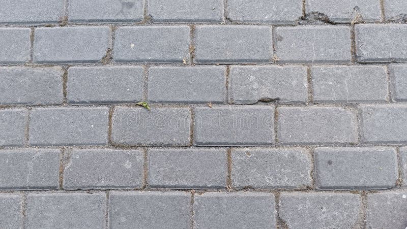 A Detailed View of a Gray Brick Walkway. the Bricks are Rectangular and ...