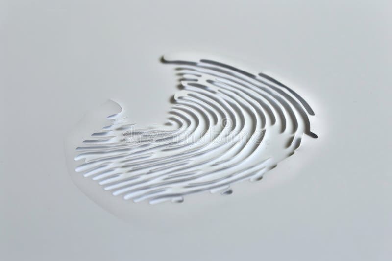 A Detailed View of a Human Fingerprint on a Clean White Background ...
