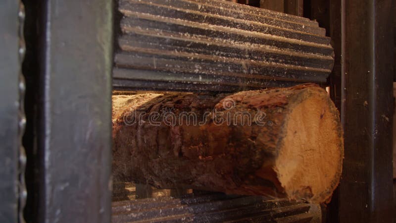Log Being Processed in Sawmill Stock Footage - Video of machinery ...