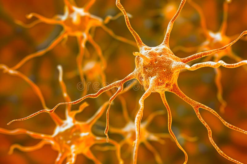Detailed View of Neurons Firing in the Human Brain Stock Image - Image ...