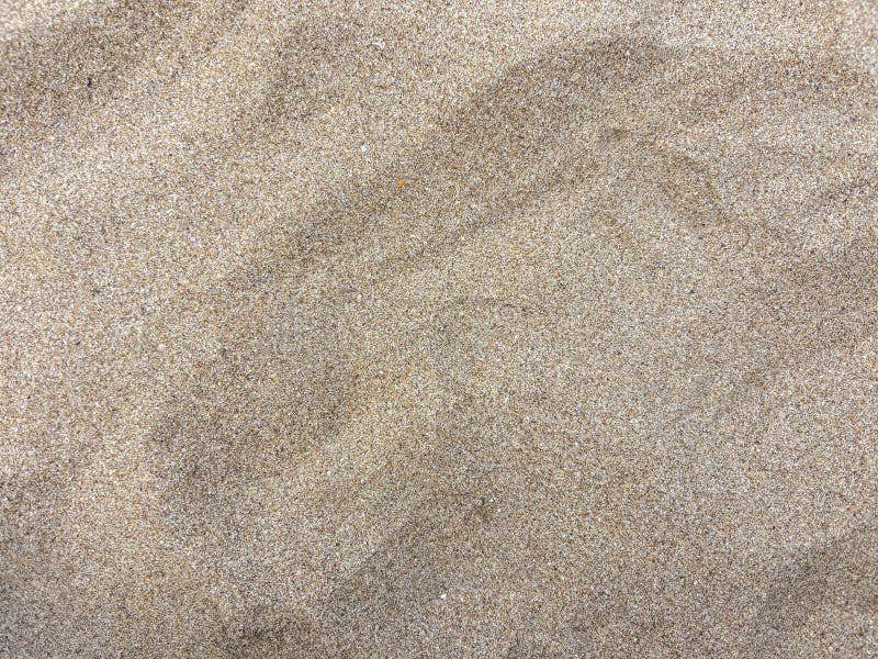 Detailed View of Sandy Beach Texture Showcasing Fine Grain Patterns and ...
