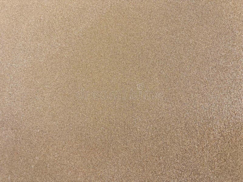 Detailed View of Sandy Beach Texture Showcasing Fine Grain Patterns and ...
