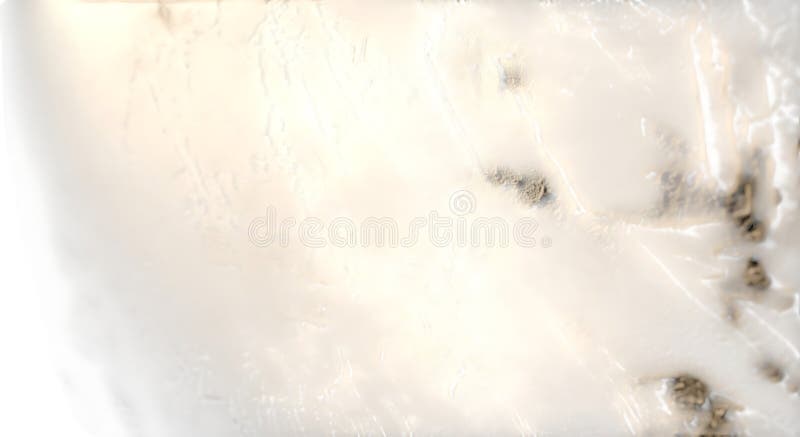 Tiny White Insects Stock Illustrations – 1,927 Tiny White Insects Stock ...