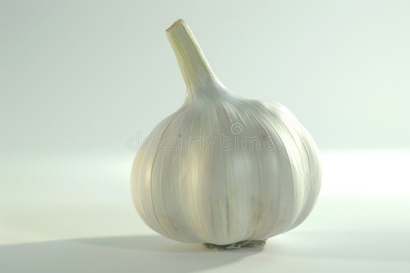 A Detailed View of a Single Garlic Bulb on a Plain White Background ...