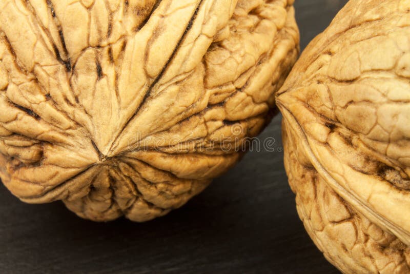 Detailed View of the Structure of the Shell of a Walnut. Super Foods ...