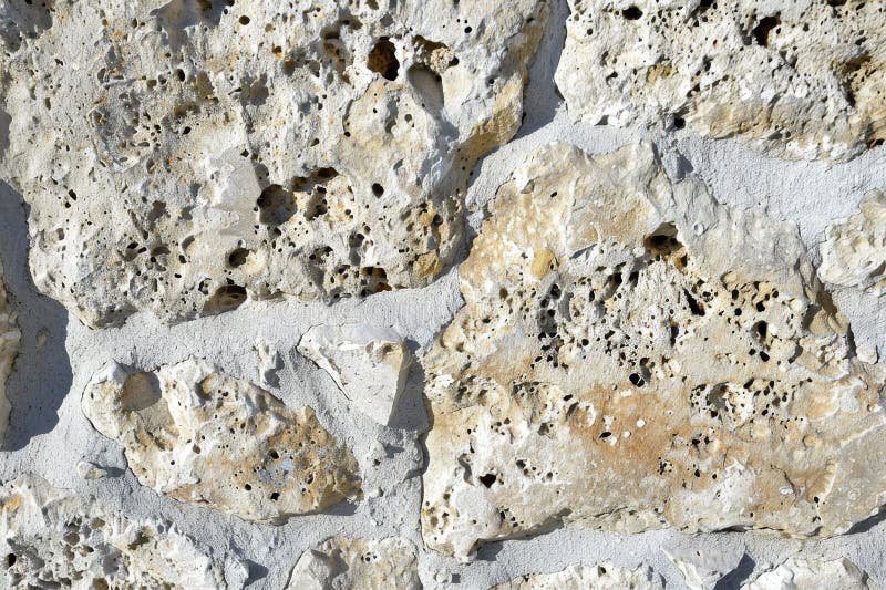 Mottled Structure Stock Illustrations – 16,741 Mottled Structure Stock ...