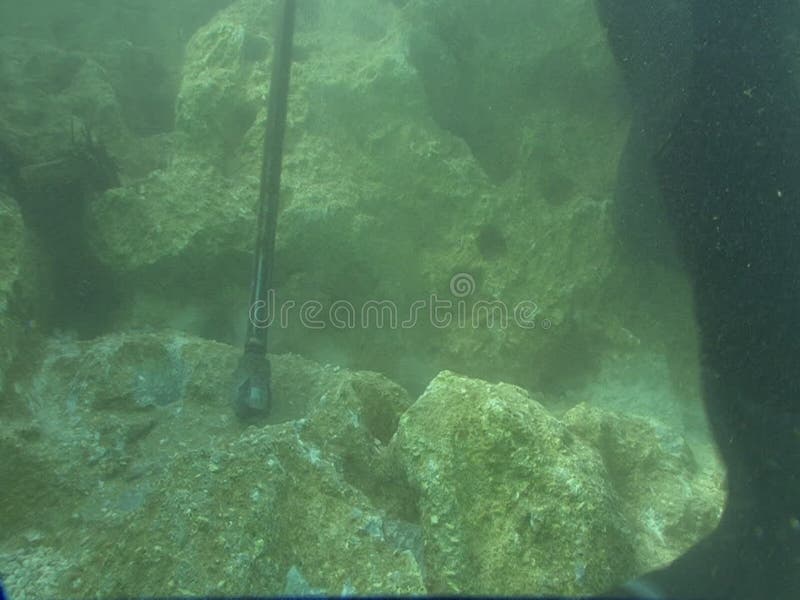 Close-Up of Underwater Jackhammer Breaking Reef Stock Video - Video of ...
