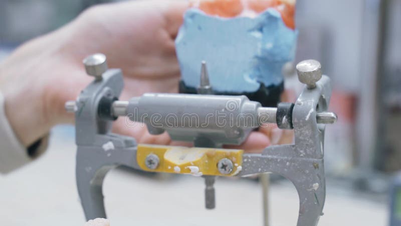 Close-Up of Tooth Model on Table Stock Video - Video of hands ...