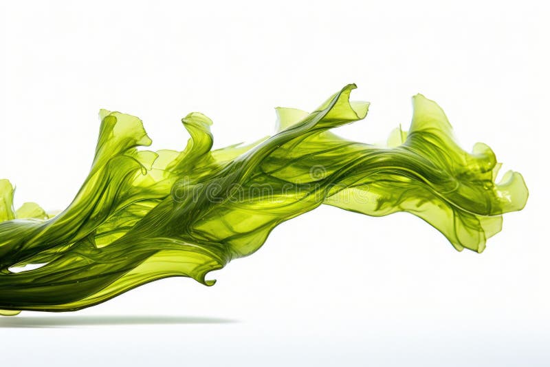 A Detailed View of a Vase Containing Green Liquid. Ideal for Scientific ...