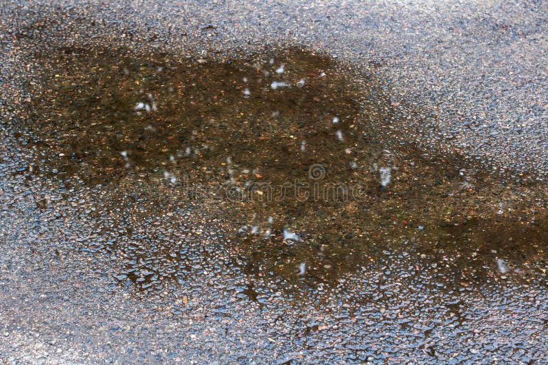 Detailed View of a Water Puddle on the Ground, with Textures and ...