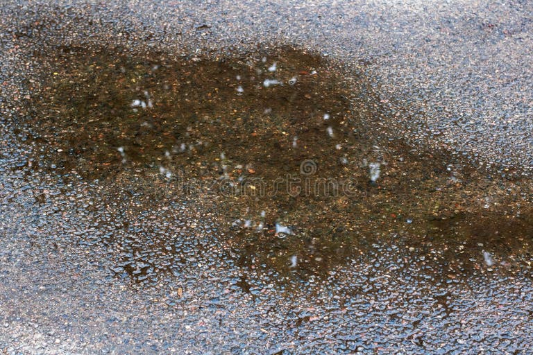 Detailed View of a Water Puddle on the Ground, with Textures and ...