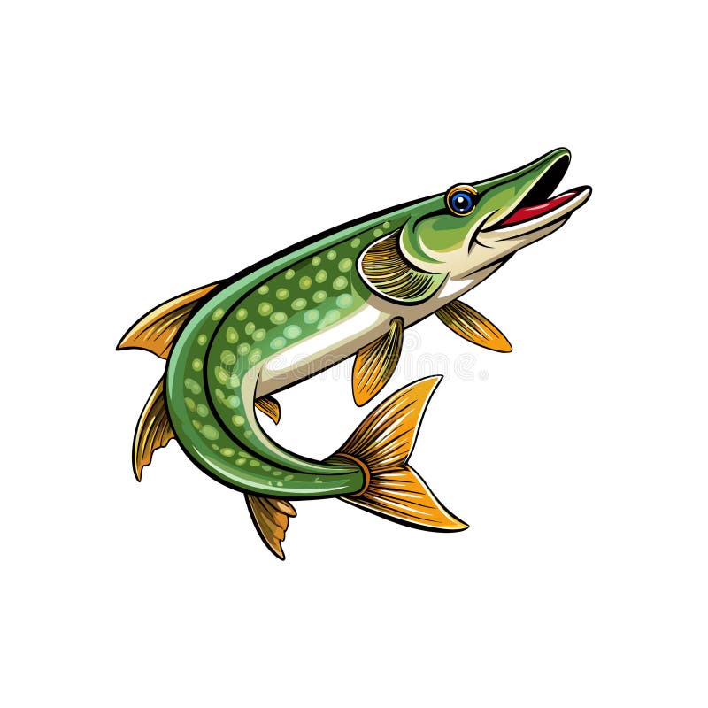 Detailed Wiggling Pike Fish Realistic Artwork Stock Image ...