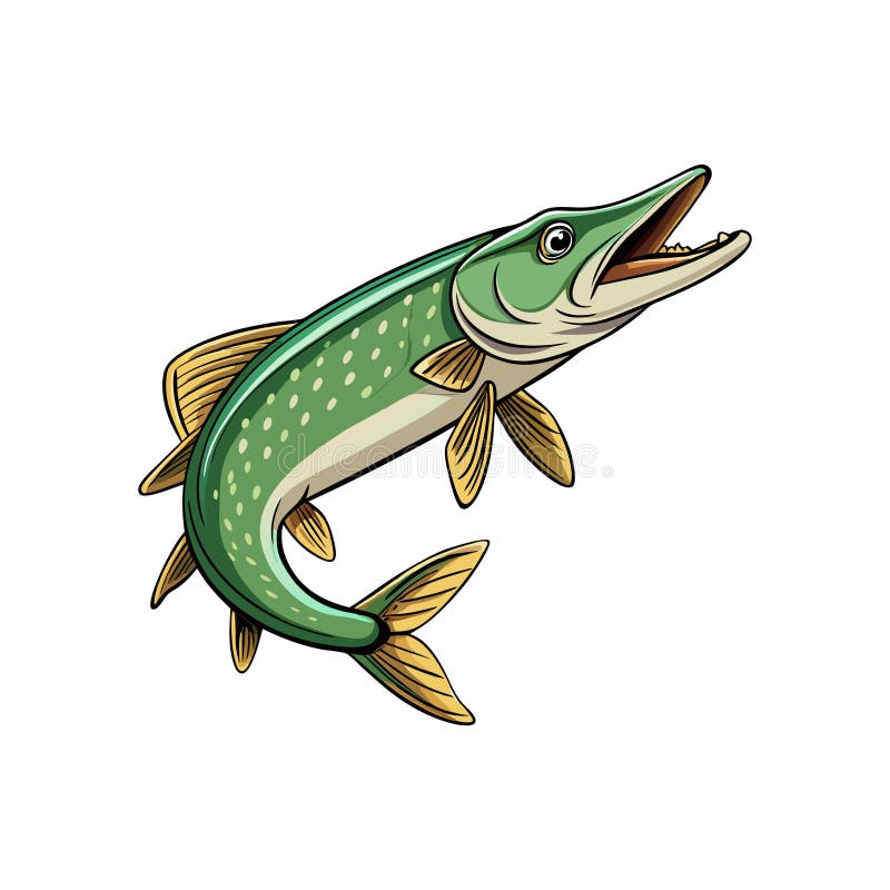 Detailed Wiggling Pike Fish Realistic Artwork Stock Illustration ...