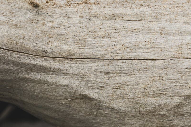 Detailed Wood Grain of an Old Tree Trunk Stock Photo - Image of heavy ...