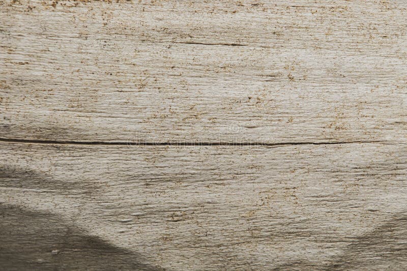 Detailed Wood Grain of an Old Tree Trunk Stock Image - Image of geology ...