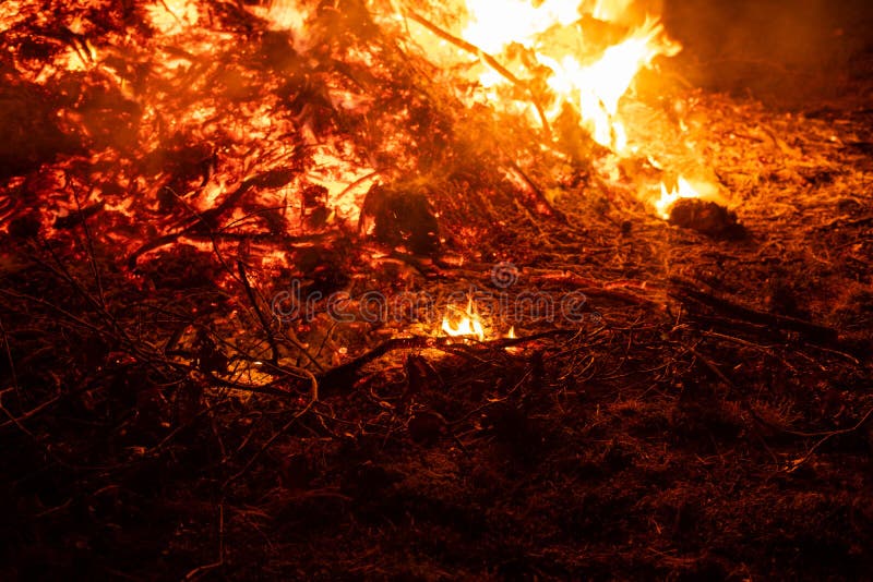 Details of the Ashes on the Ground during a Fire Stock Photo - Image of ...