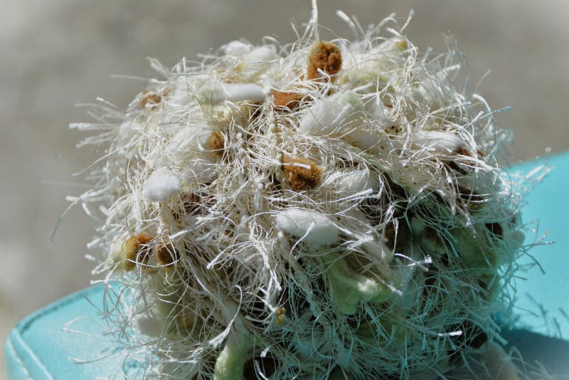 Details of a Beautiful Ball of Yarn in the Sun Stock Photo - Image of ...