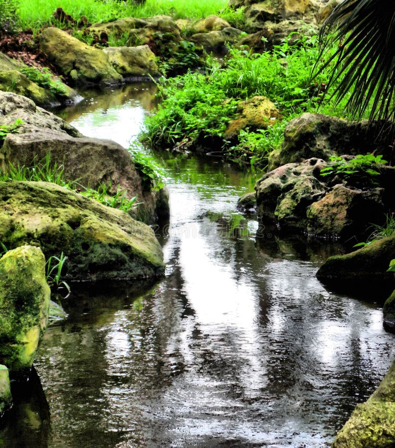 Details of Beautiful Stream Stock Photo - Image of nature, outdoors ...