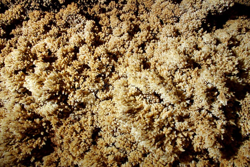 Details Of Cave Picture. Image: 5691727