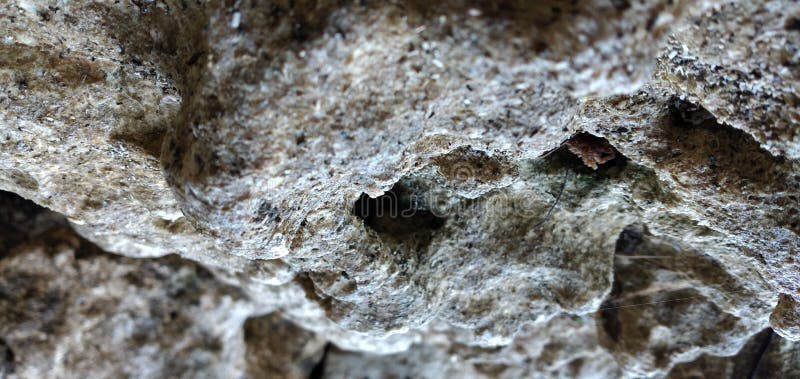Details of cave ceiling stock photo. Image of ceiling - 220288366