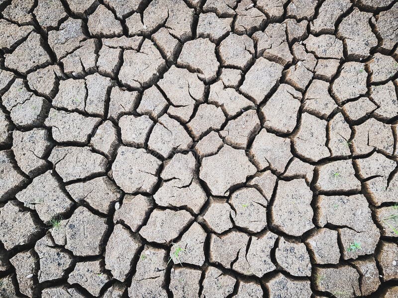 Details of a Dried Cracked Earth Soil Ground Background Stock Photo ...