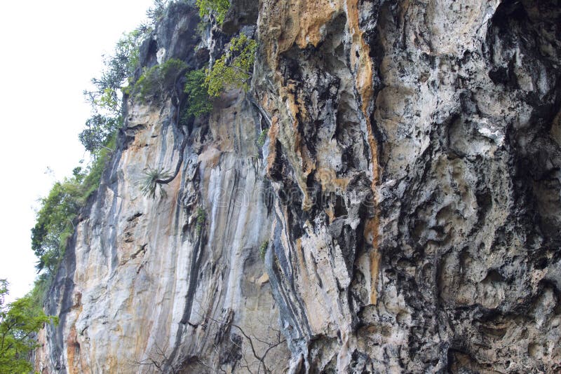 Details and Forms of Rocks on Railay Peninsula, Thailand Stock Image ...