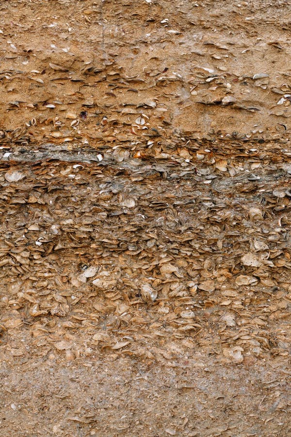 Details of the Geological Formation of Layers on the Seashore. the ...