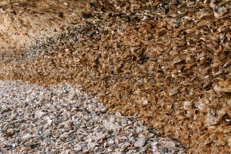 Details of the Geological Formation of Layers on the Seashore. the ...