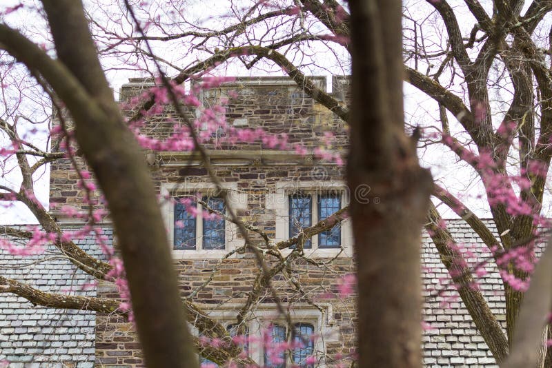 Gothic Architecture Details Stock Photo - Image of structure, blur ...