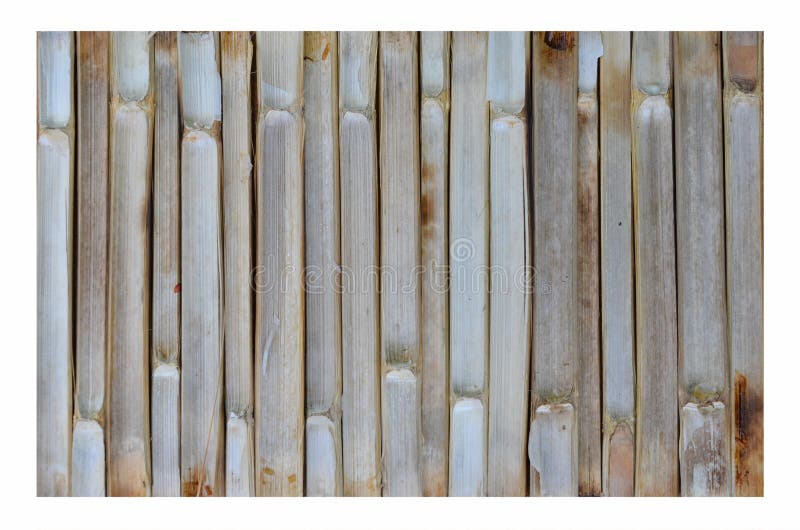 Inside Pattern of Bamboo Texture Stock Image - Image of fence, inside ...