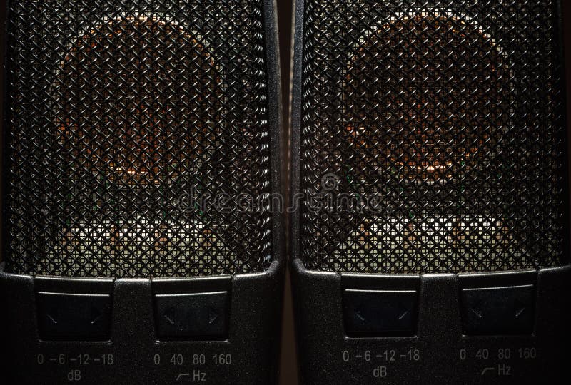 Details of Modern Condenser Microphone Stock Photo - Image of loud ...