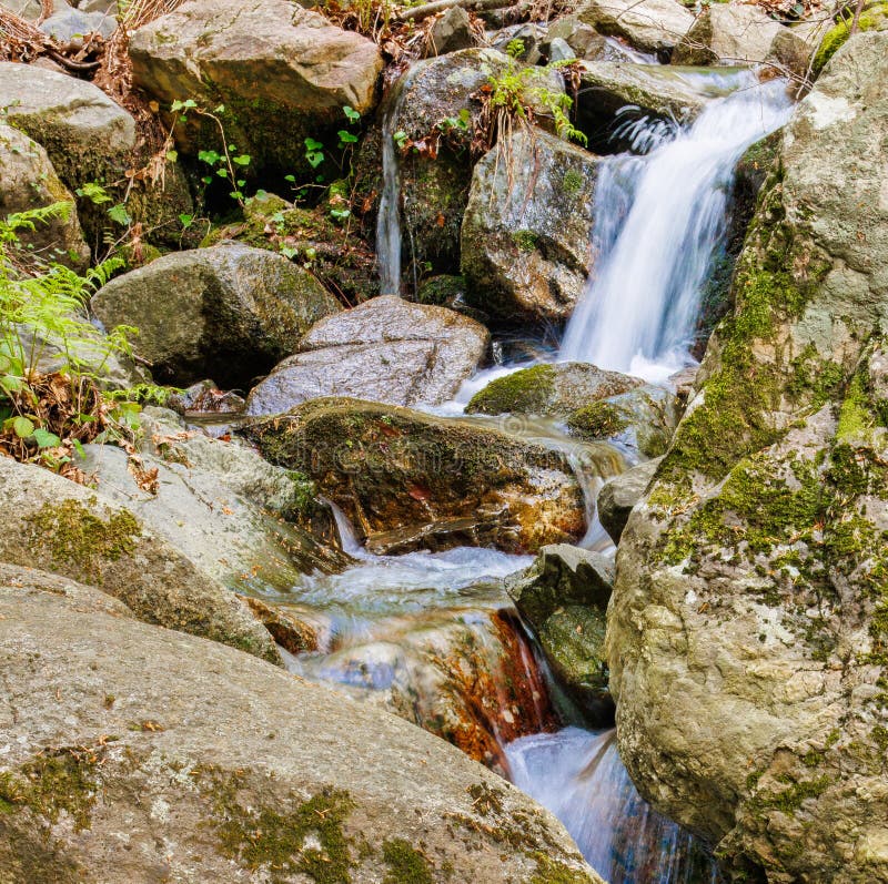 Details from a Mountain Spring Stock Image - Image of detail, european ...