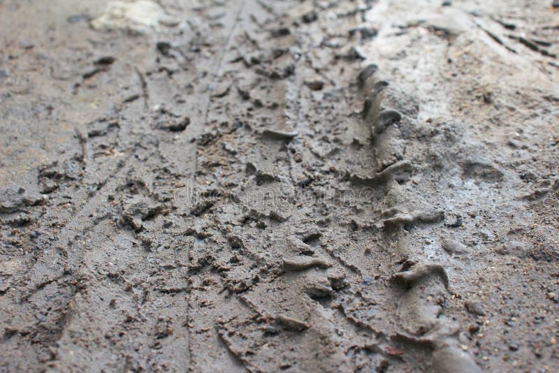 Muddy Land stock image. Image of imprint, geology, dirt - 233659365