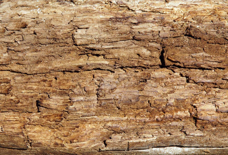 Old wood destroyed by time stock image. Image of texture - 98875881