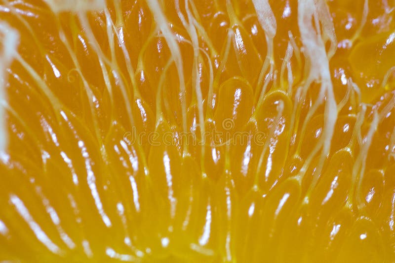 Details of orange stock photo. Image of beauty, macro - 87438166