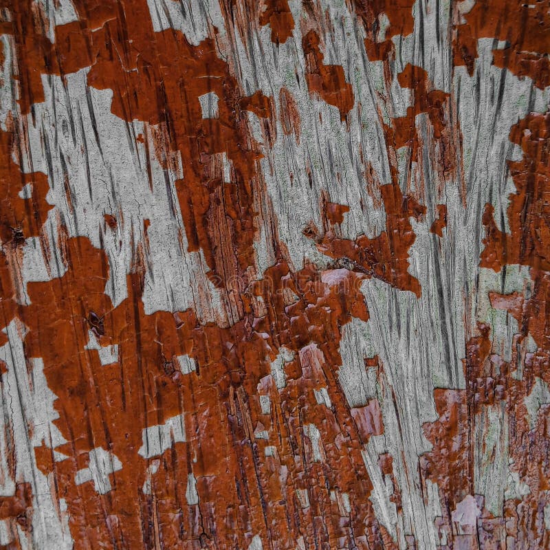Peeling wood paint texture stock image. Image of leaf - 264279231