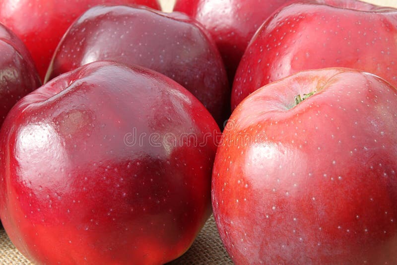 Details of red apples stock photo. Image of edible, detail - 10964594