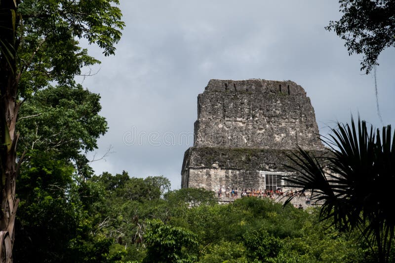 Indigenous Compass Stock Photos - Free & Royalty-Free Stock Photos from ...