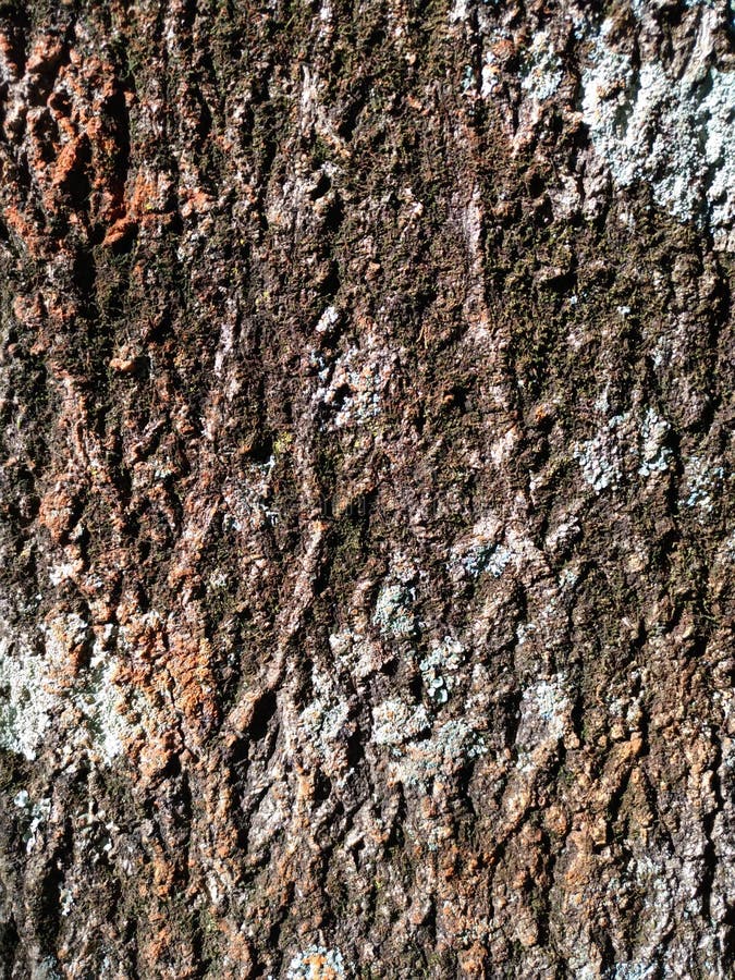 Details of a Solid Rustic Structure Exposed To the Climate. Background ...